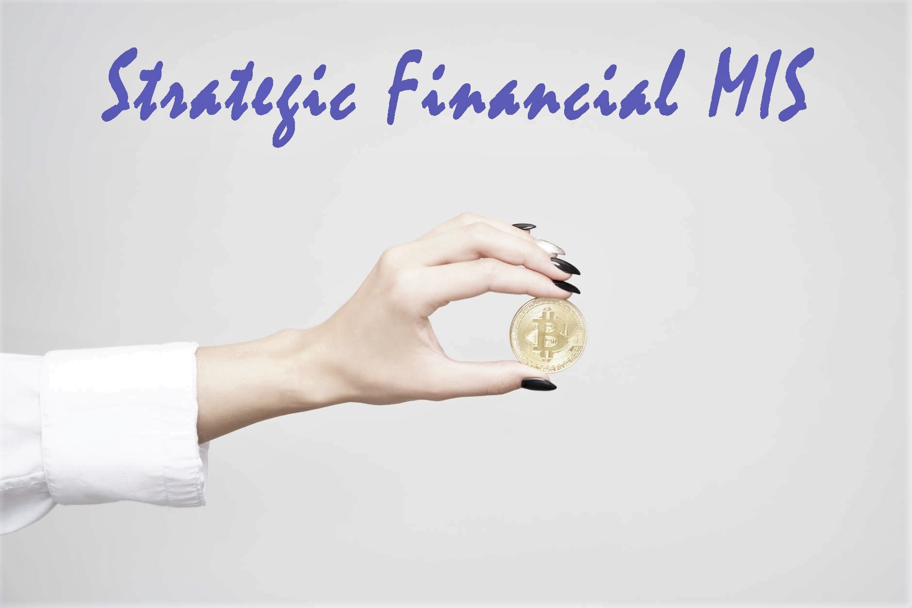 Strategic Finance & Accounts MIS - CSM Strategy Journal